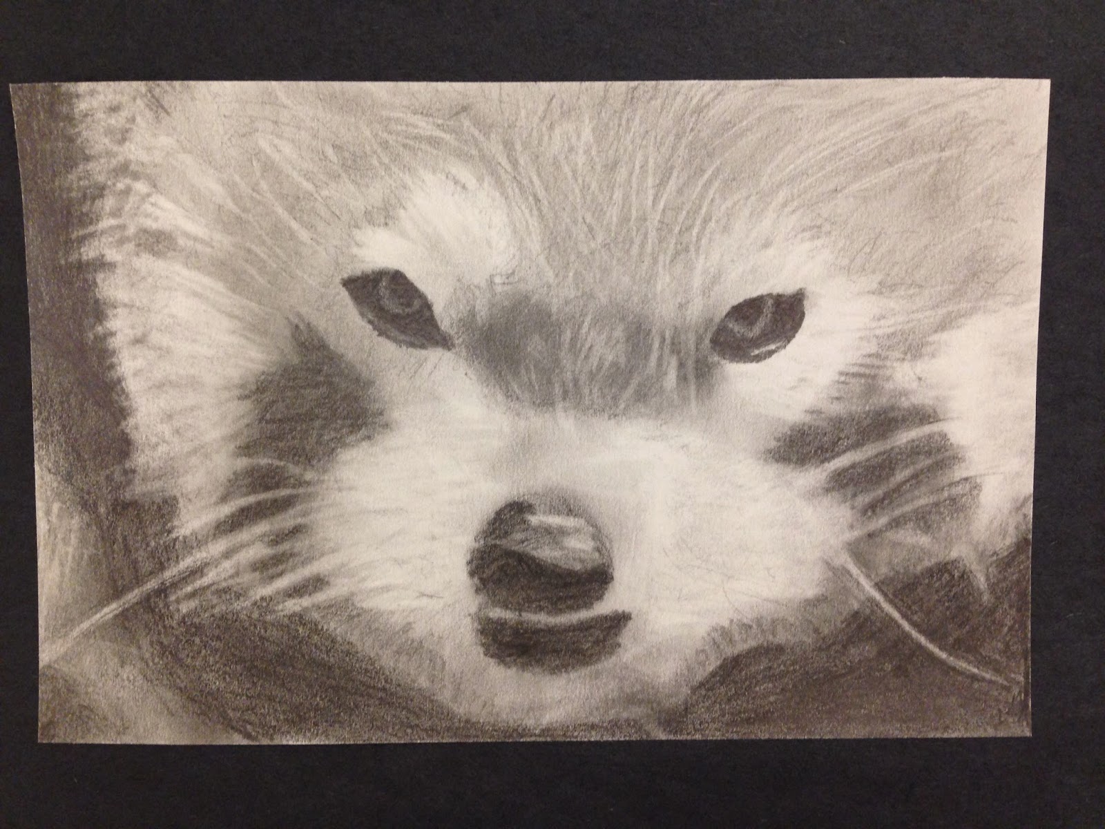 Art Alley: Drawing Rendering: 7th Graders Learn to See