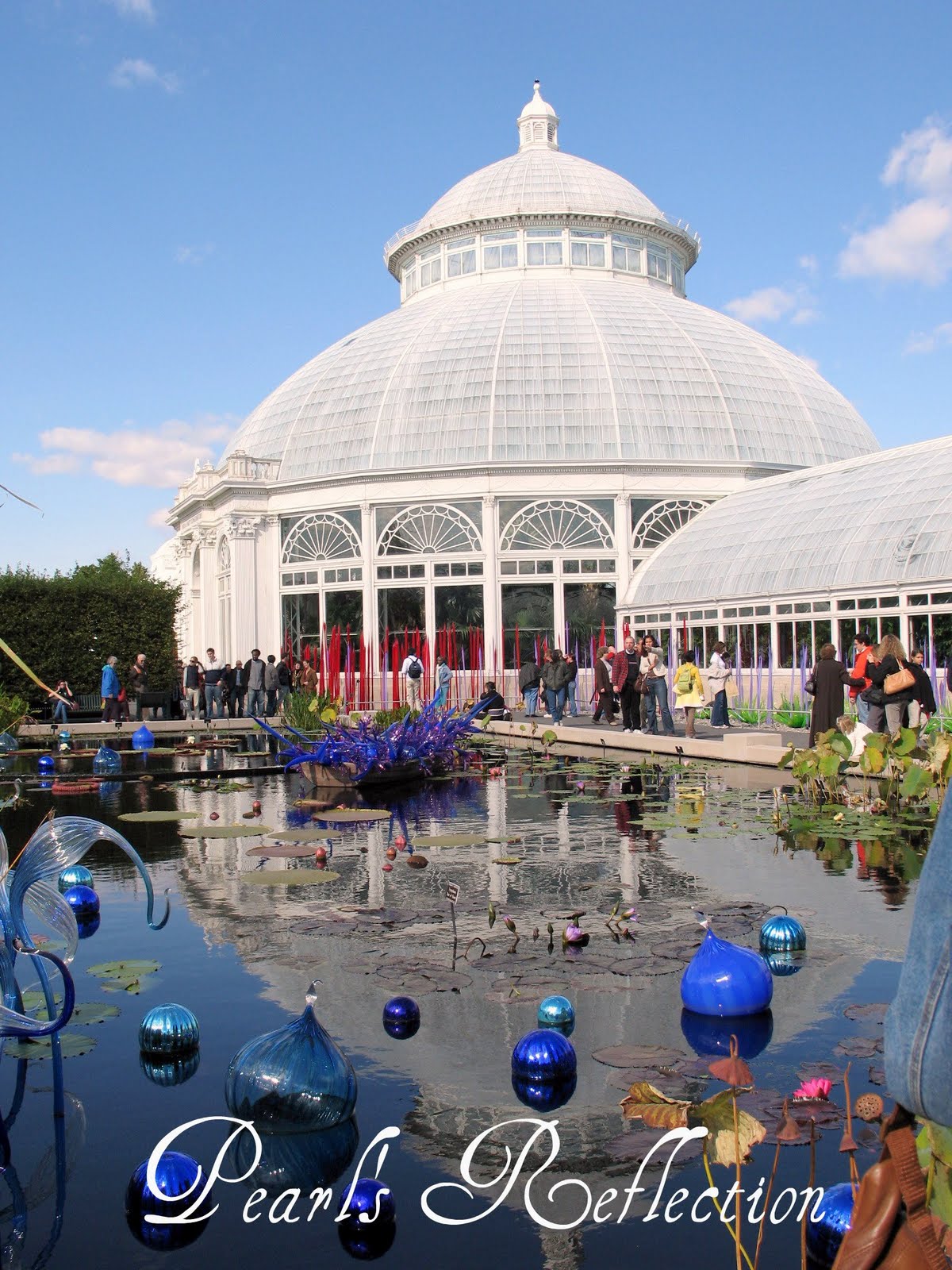 Pearl's Reflection: Dale Chihuly, glass sculptor Pearl's Reflection: Dale Chihuly, glass sculptor