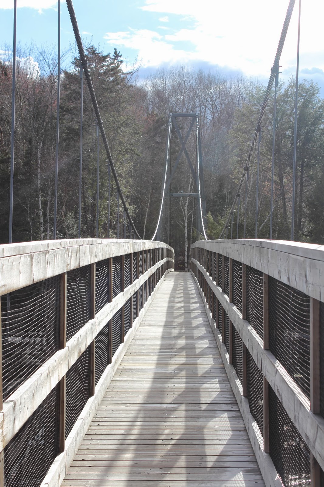 Waterfalls and More: Shogomoc Suspension Bridge