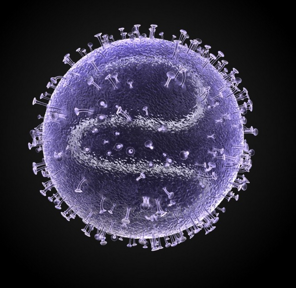 #55 Infectious diseases and Antibiotics | Biology Notes for A level