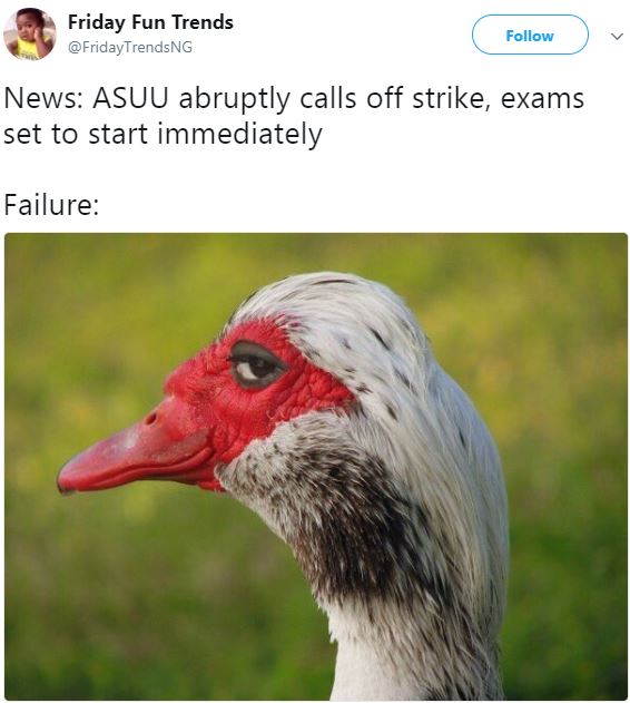 Stella Dimoko Korkus.com: Twitter Users Create Hilarious ASUU Strike Memes