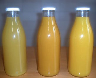 PROYECTO CIENCIA DE LOS ALIMENTOS: ELABORACIÓN DE NECTARES