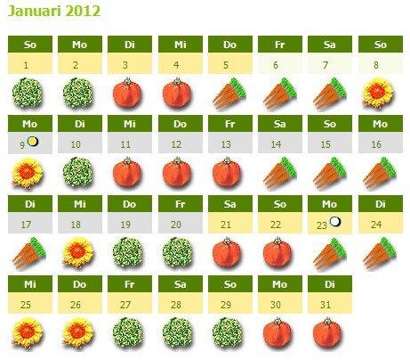 Moestuintje aan de Dommel: Zaaien, planten en oogsten volgens de ...