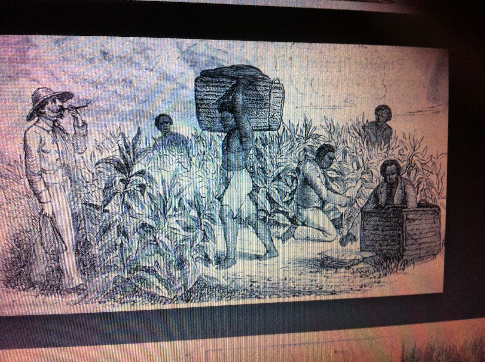 THE BLACK SOCIAL HISTORY:: BLACK SOCIAL HISTORY : SLAVERY IN THE ...