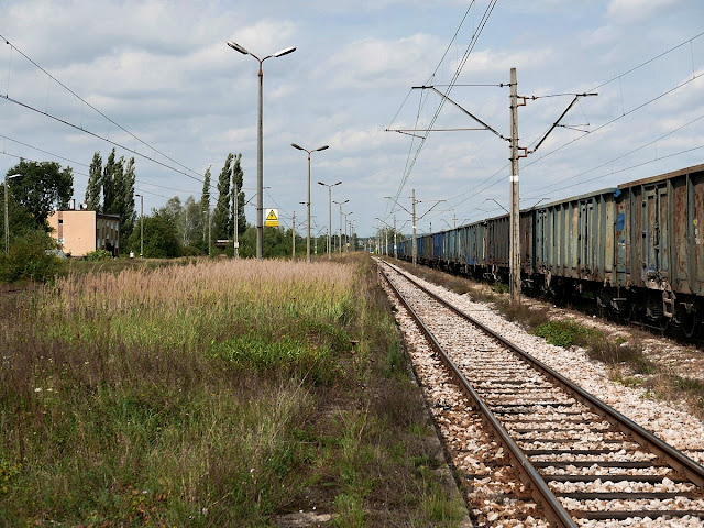 Class 66604 FPL na stacji Nida | Kolejowe Kielce
