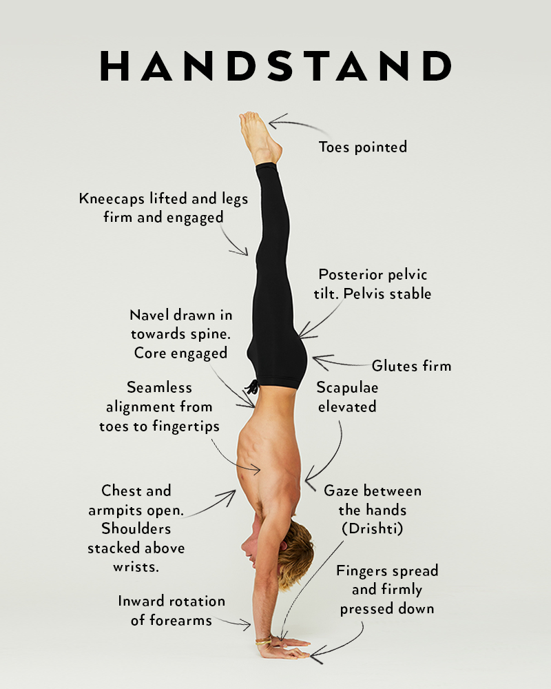 Perfect handstand :)