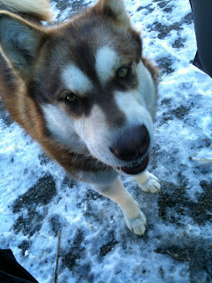 The Smiling Pony Photography: I'm SOOOOO Happy to see you!