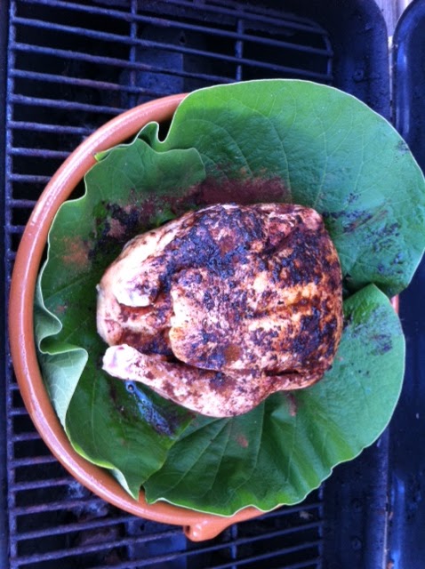 BloomToScoop: Hoja Santa (Holy Leaf)