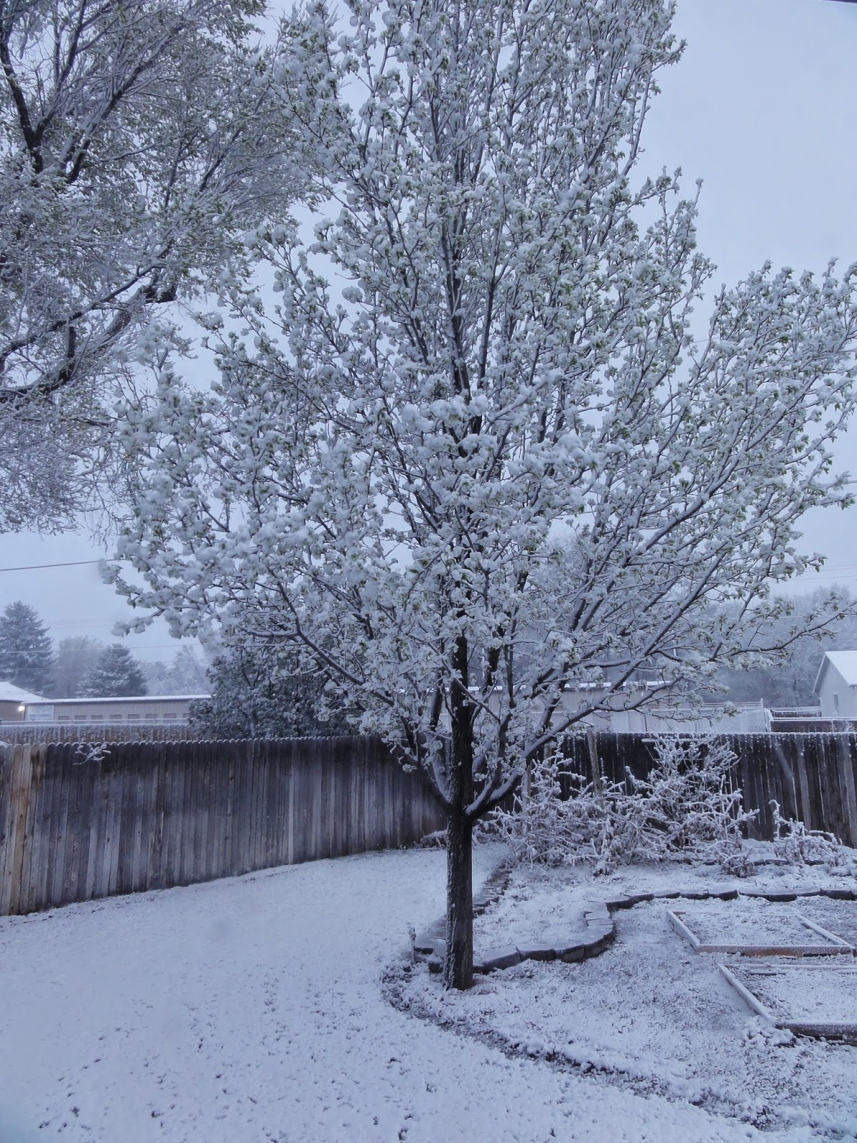 Salmagundi: WHAT I LEARNED ON MY SPRING BREAK!