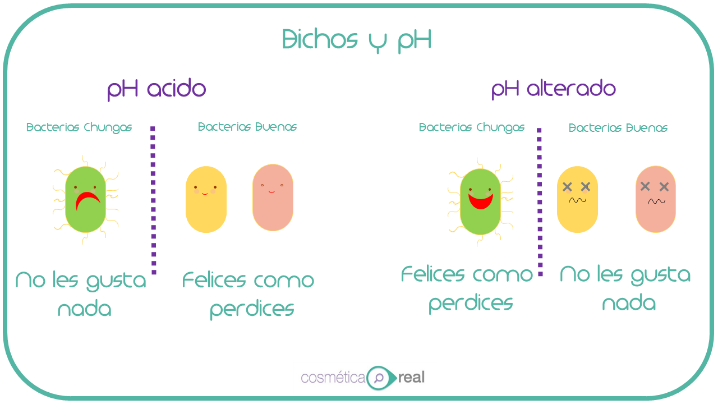 pH y bichos: cómo afecta el pH al acné y otras patologías cutáneas