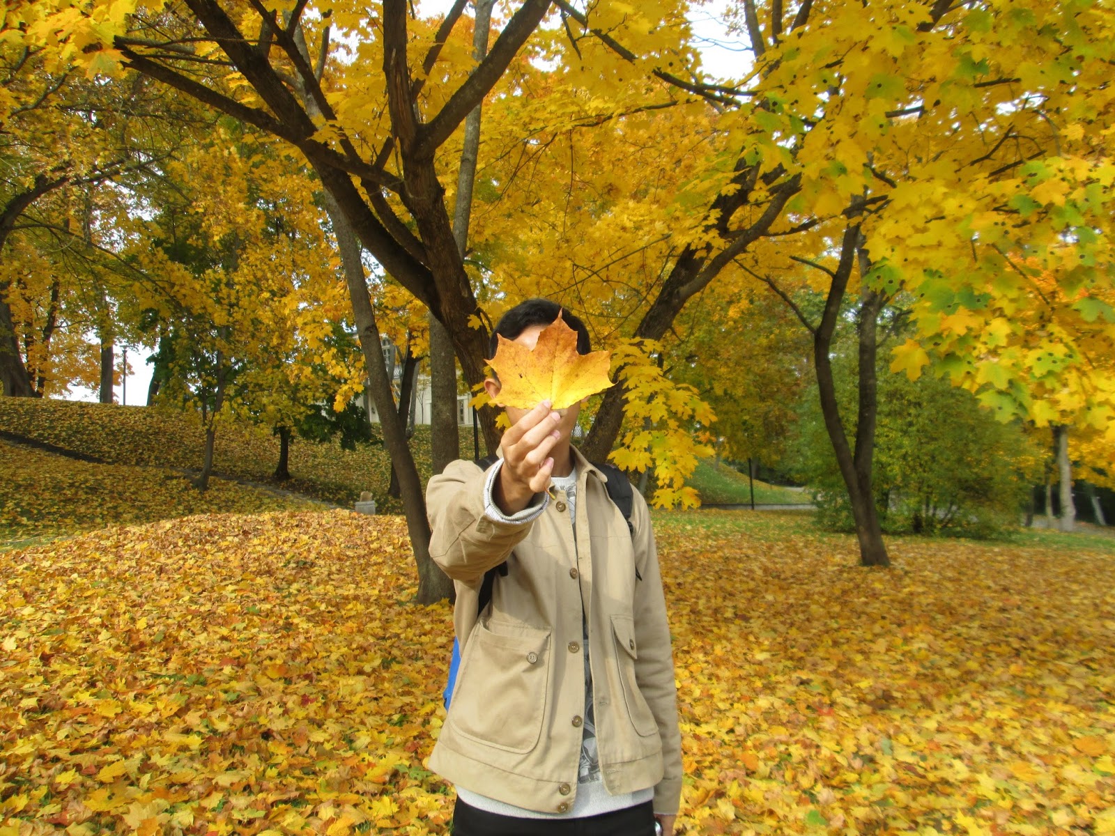 The Green Passport: Photo Story : Musim Gugur Di Eropa