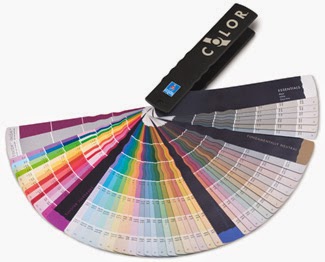 The Polymath Chronicles: Paint Me Excited!