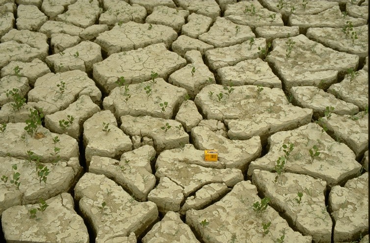 Ciencias de La Tierra-L.B. 25 de Julio: SUELOS