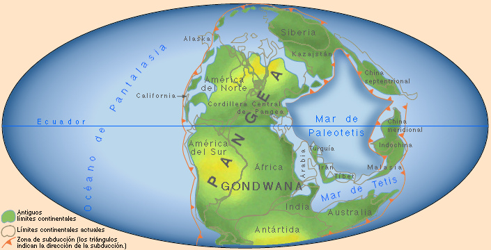 El paleozoic: Formació Pangea II