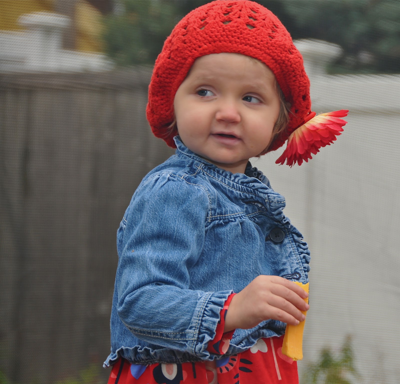 Phoebe Rose Rocks: November 2012