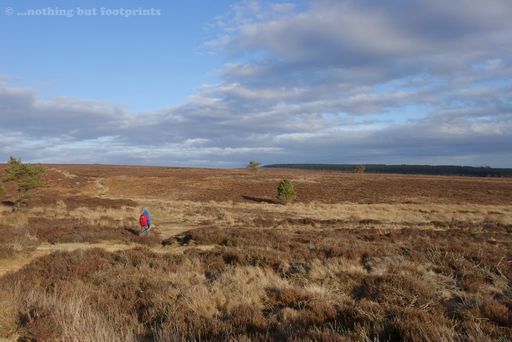 Ravenscar, Harwood Dale & Jugger Howe (North York Moors)