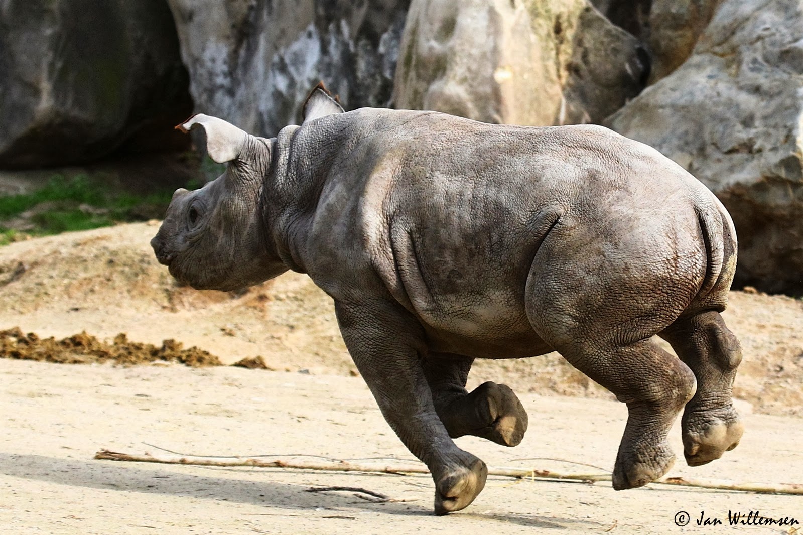 Jan Willemsen Fotografie: ZOO Krefeld (Germany)