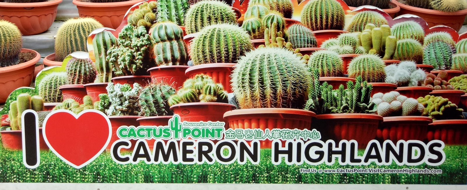 MENCARI CINTA ABADI: Destinasi Keempat Percutian di Cameron Highlands ...