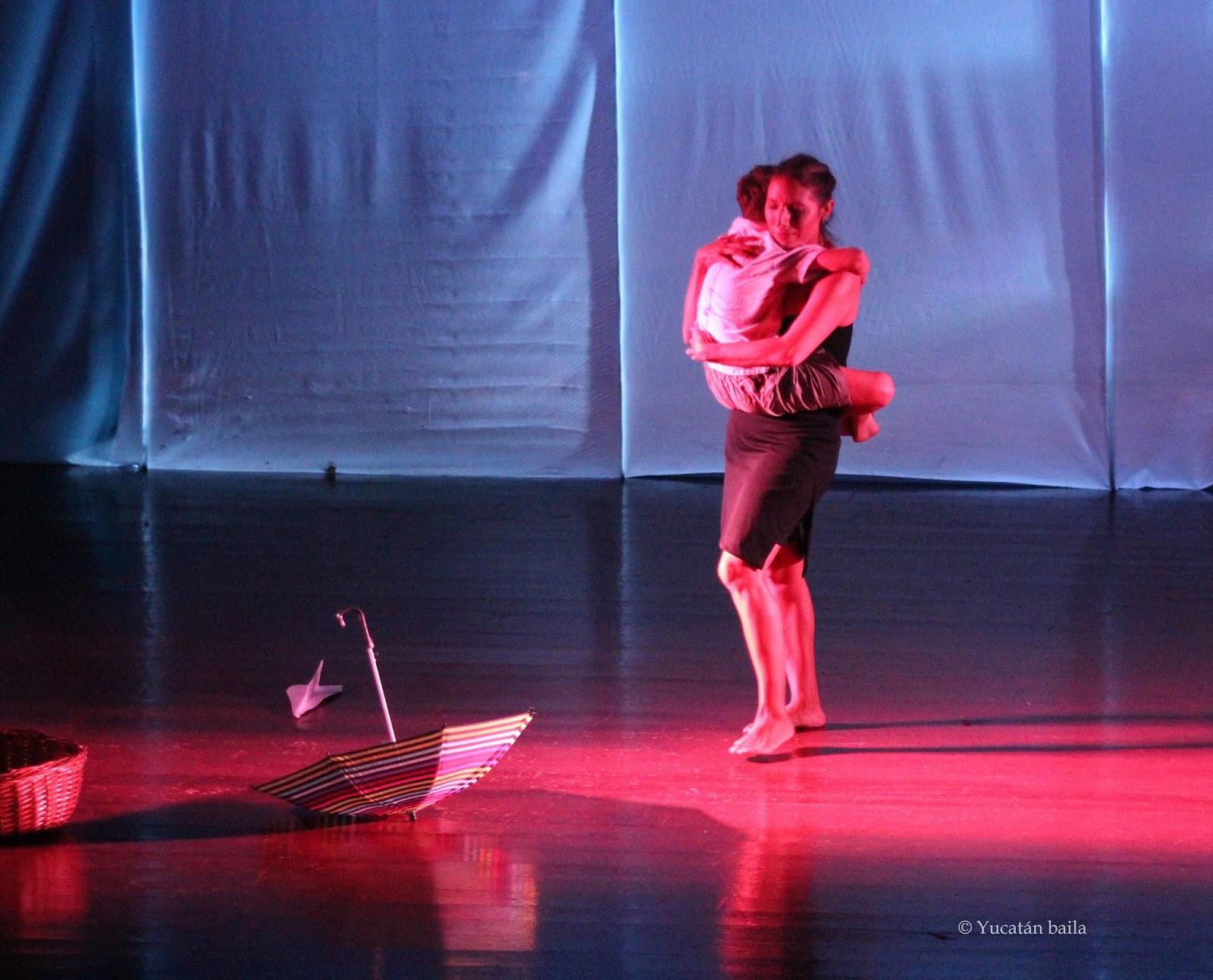 Tania Lavín, una vida “entre dos tierras”