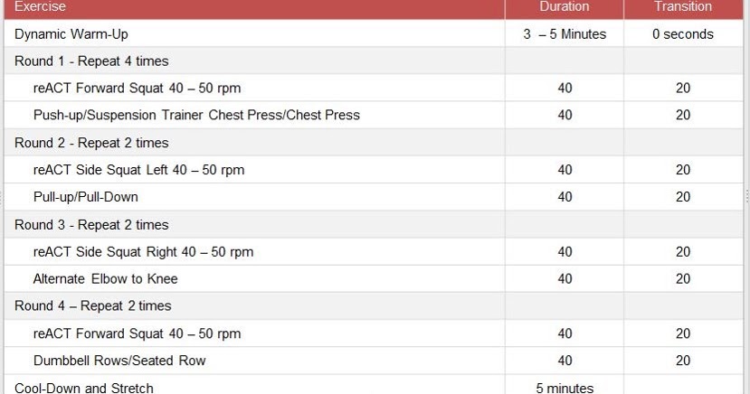 WORKOUT ANYTIME Fitness Blog: reACT Trainer Total Body Circuit Workout