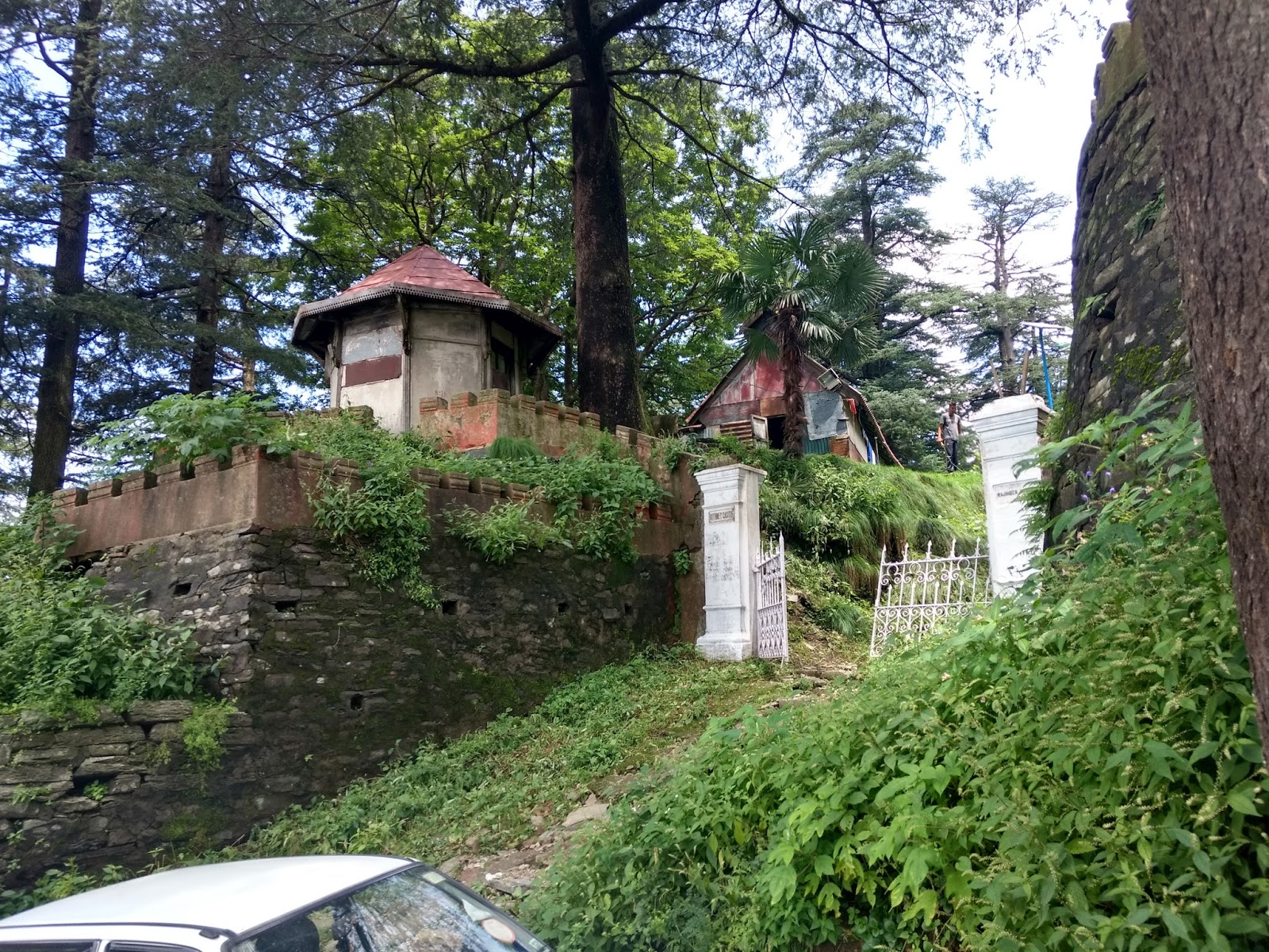 Catching Flies: Tracing some ornithological roots