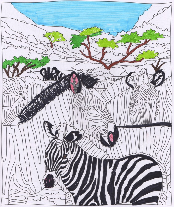 Girl Scientist Magazine: Giant Panda and Grevy's Zebra - photos