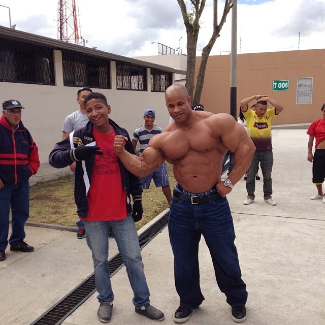 the beauty of male muscle: bodybuilders vs. average people