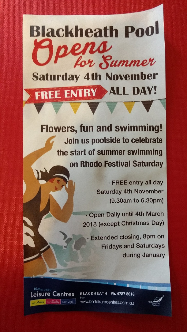 Blackheath Pool: summer swimming since 1931