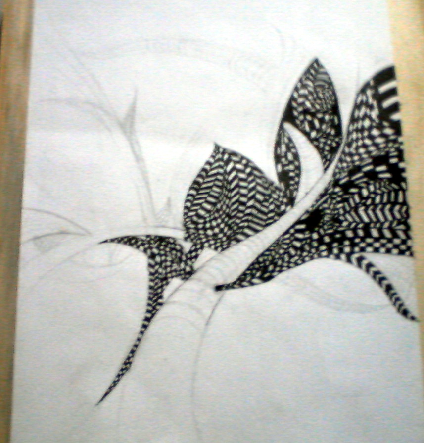 @biNtAng D hAti: Seni Op