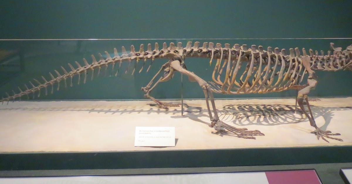 Equatorial Minnesota: Fossil Crocs of the Science Museum