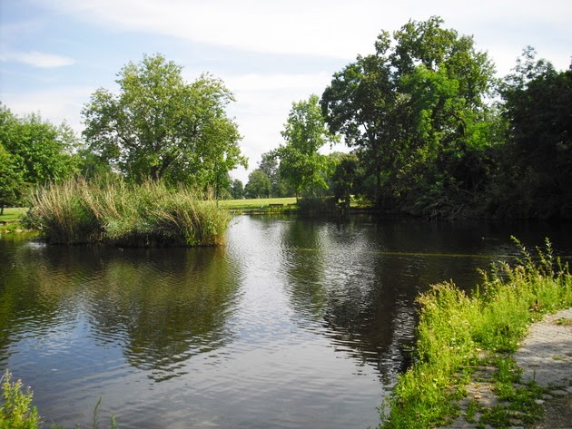 Wege in der Region Stuttgart: Zwischen Rosensteinpark und Wilhelma