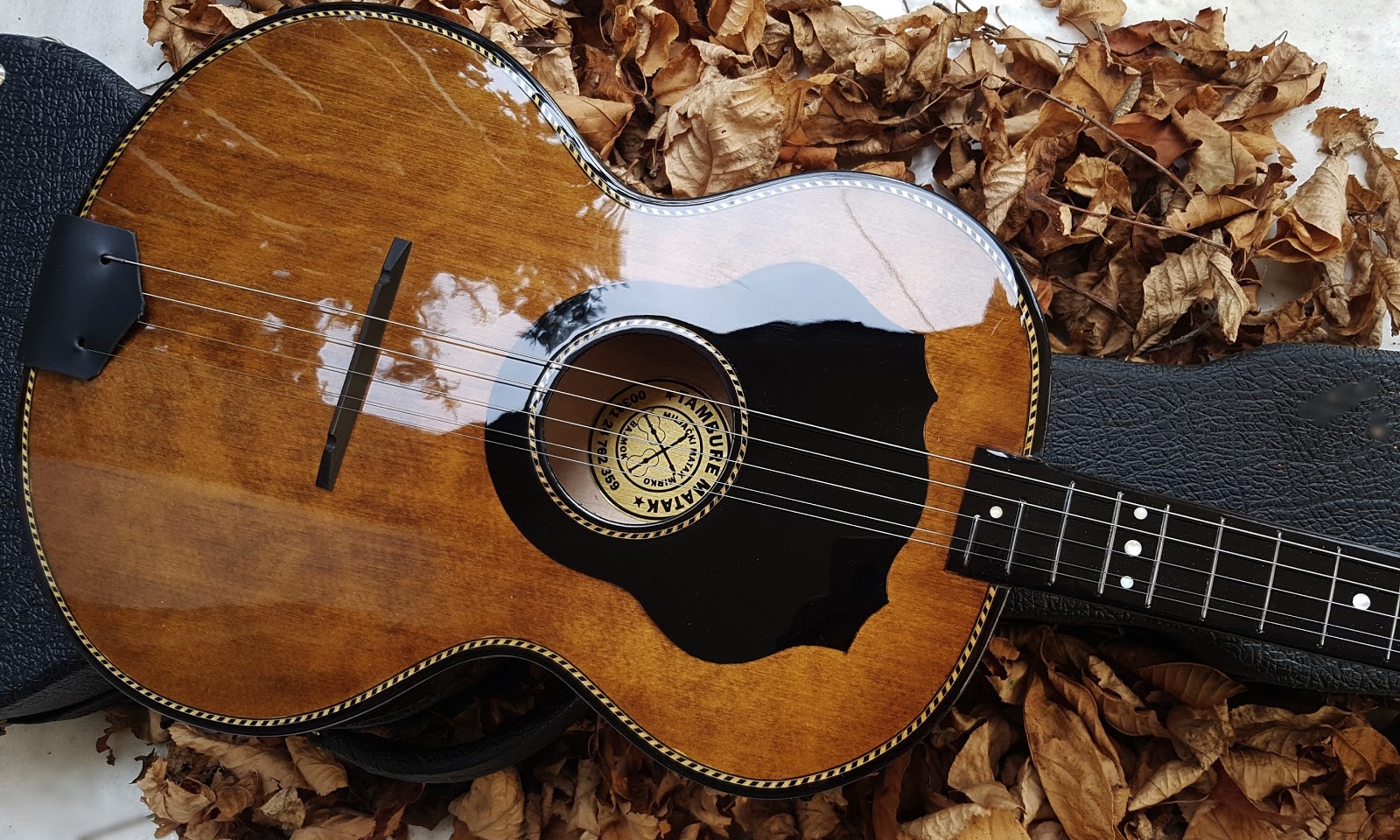 tambura-matak-basprim-brac