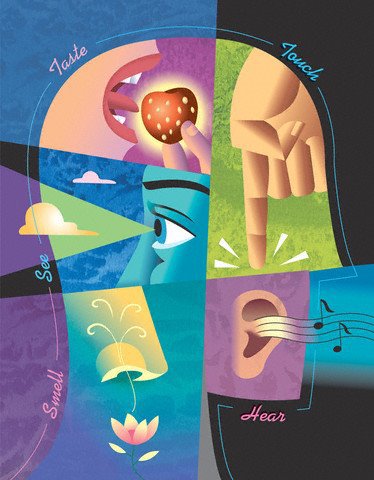 La sensación como fuente del conocimiento