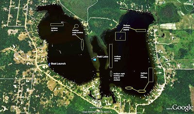 Houghton Lake Walleye Report: Pratt Lake