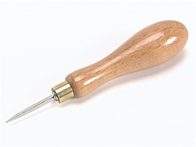 The Dodo's New Clothes