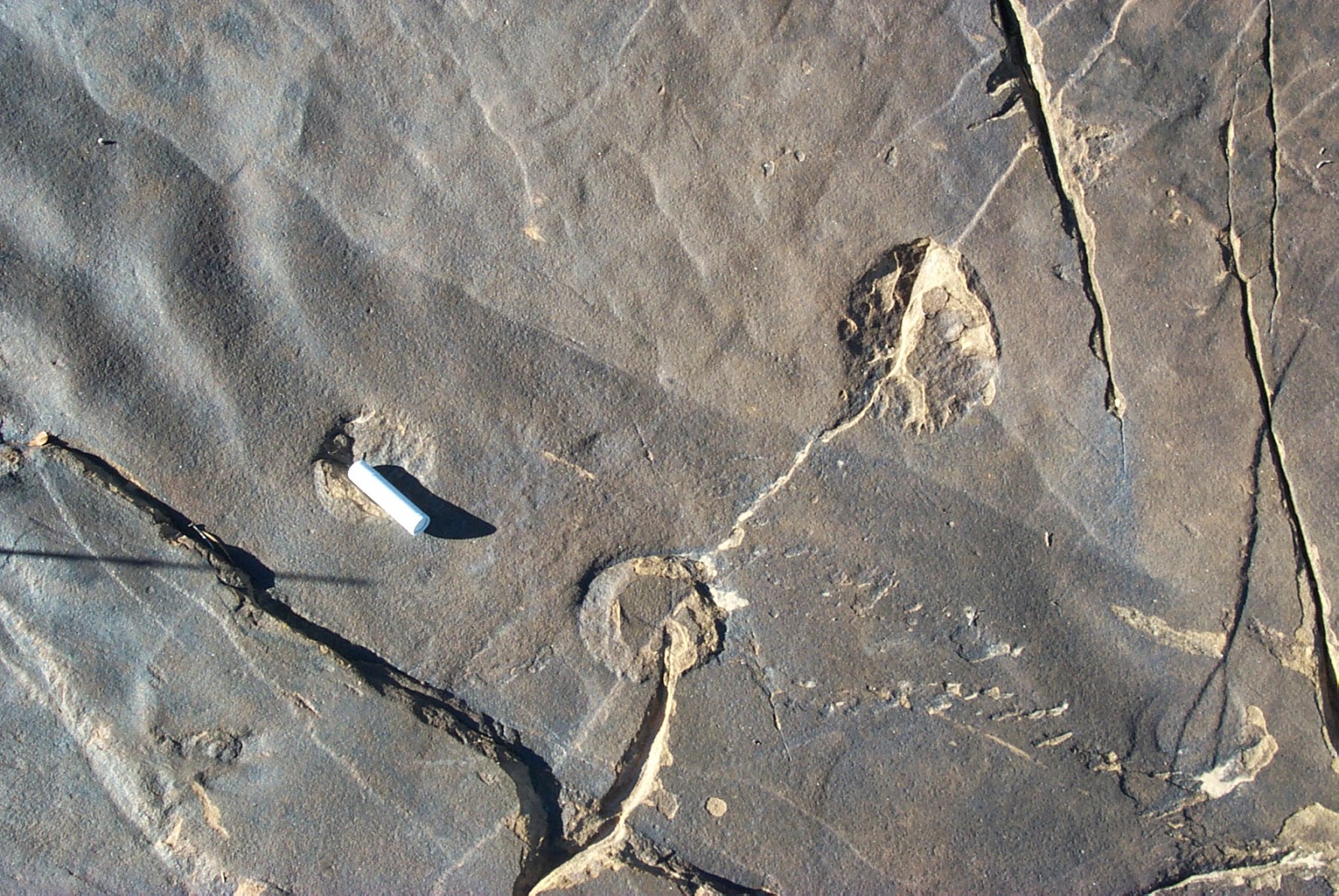 Urth Picture Post: Some Features on the Nugget/Navajo Sandstone, San ...
