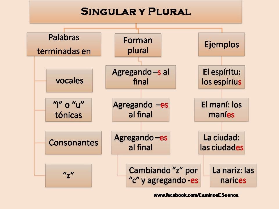 Caminos Y sueños : Plural de sustantivos y adjetivos