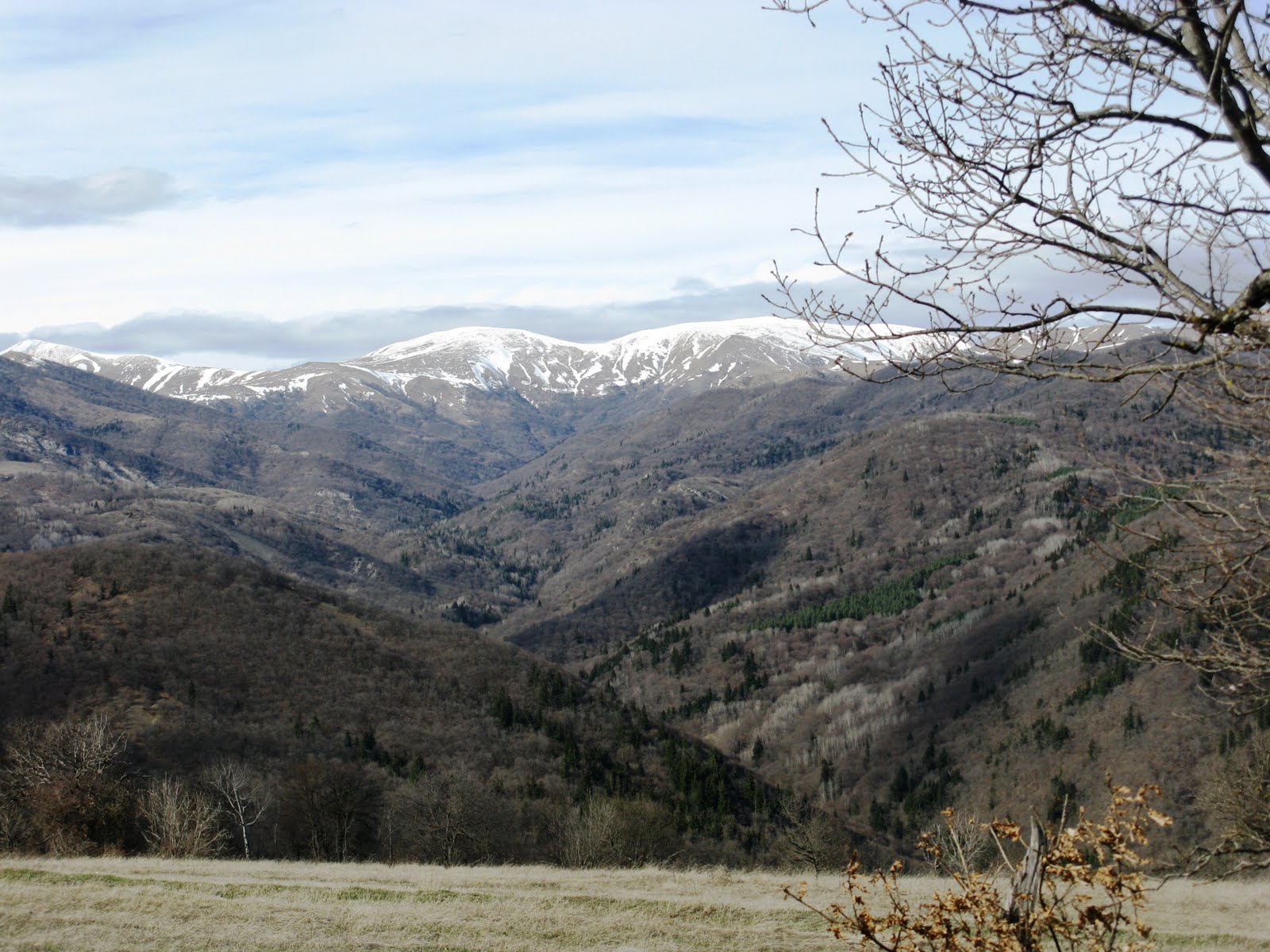 Jespers Blog: Algeti National Park, 9 April 2011