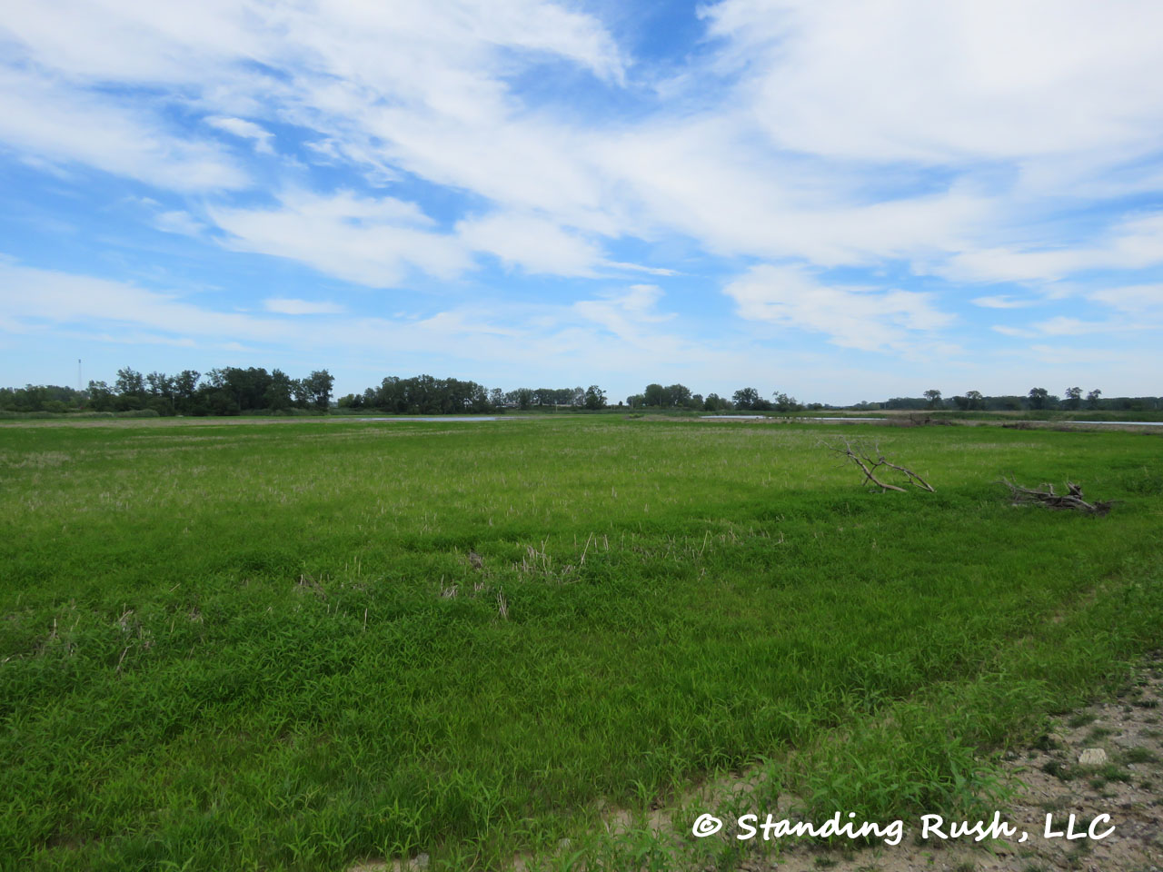 Moment in the Marsh: Good News for the Newly Rehabbed West Marsh Dike