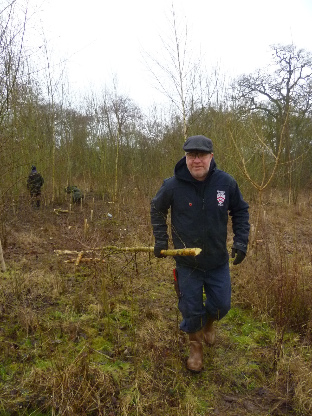 Worcester College Gardeners 2009-2018: Coppicing Hazel And Silver Birch