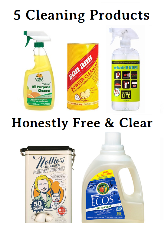 . Char's Kitchen: 5 Honestly Free & Clear Cleaning Products