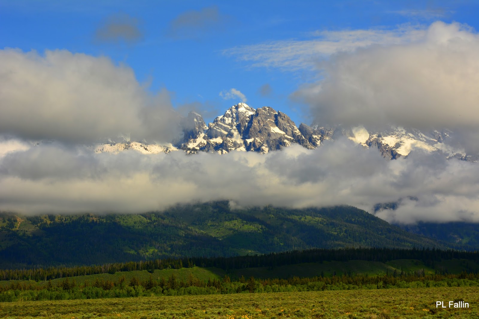 PL Fallin Photography: Albright View Point at Grand Teton National Park