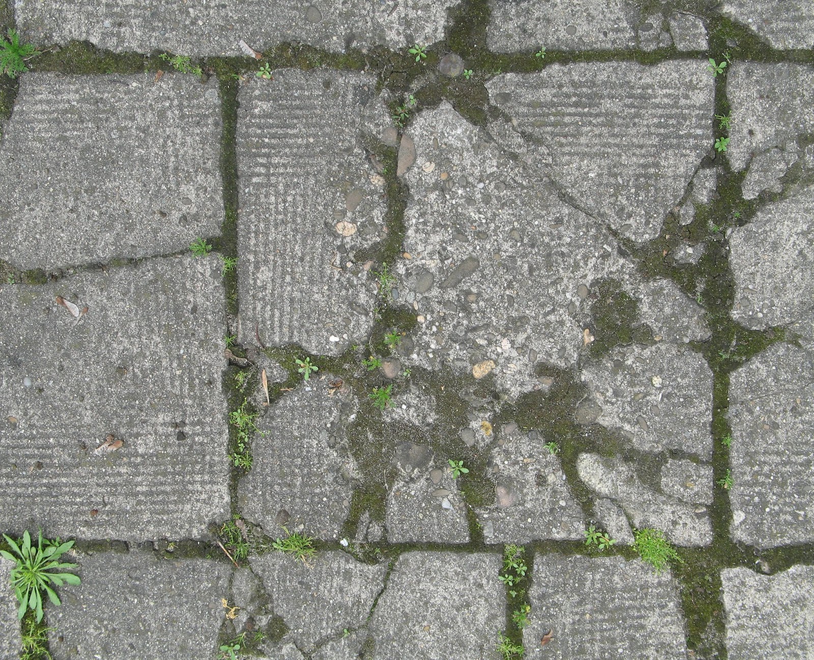 Sidewalk textures 1 - TextureHeaven