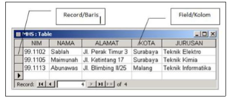 Pengenalan File tabel record dan field - Our Akuntansi