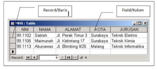 Pengenalan File tabel record dan field - Our Akuntansi