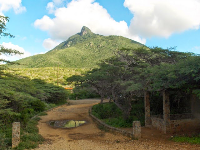 Características de Venezuela: Región Centro-Occidental
