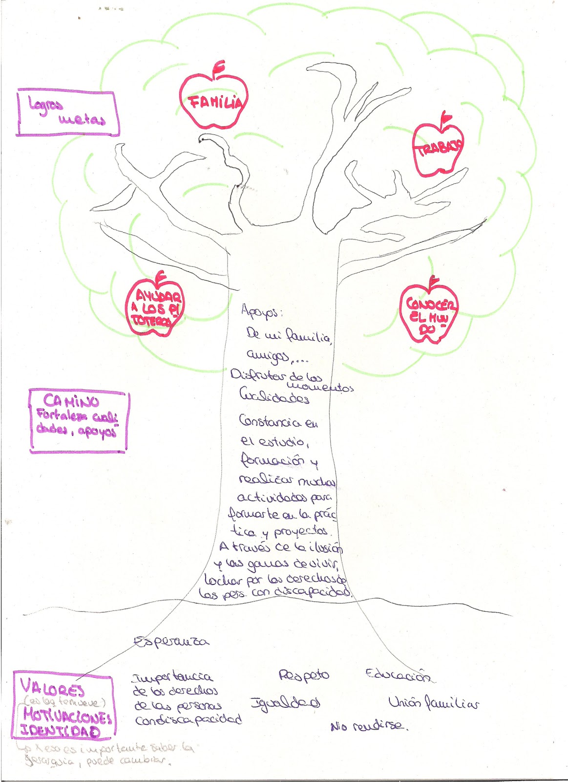 ORIENTACIÓN PERSONAL: EL ÁRBOL DE LA VIDA ORIENTACIÓN PERSONAL: EL ÁRBOL DE LA VIDA