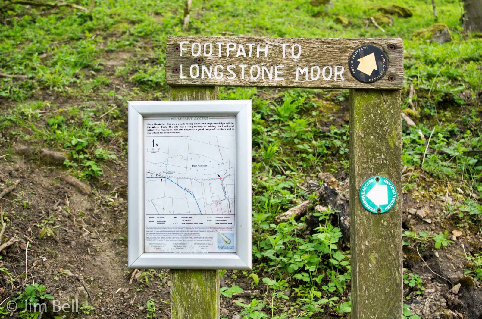 Out & About: Longstone Moor
