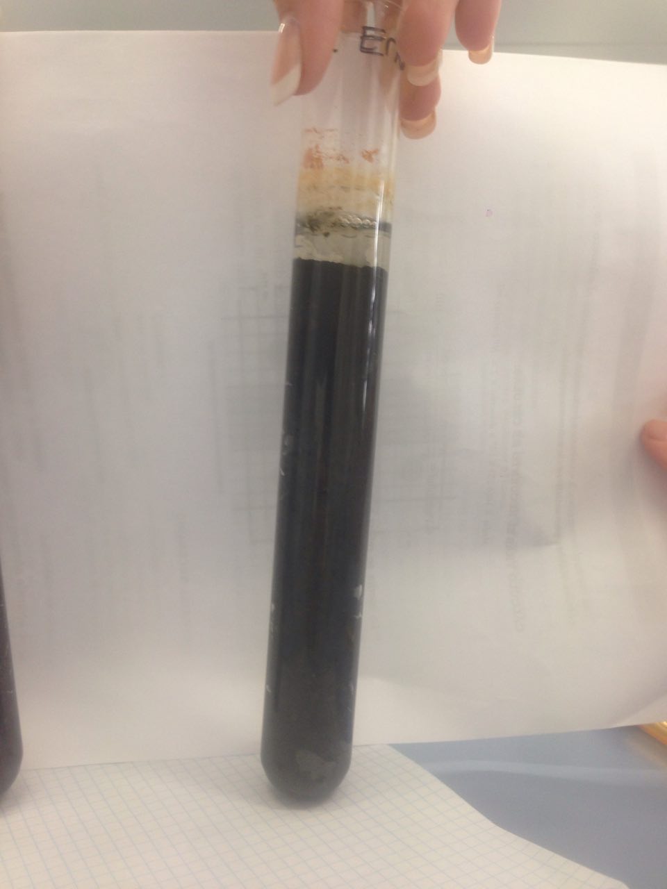 Winoblog: Winogradsky Column After three weeks (Group A)