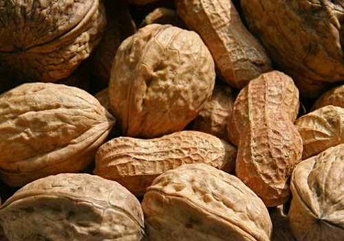 Cuaderno de salud y dietética. : Perjucios aflatoxinas y micotoxinas